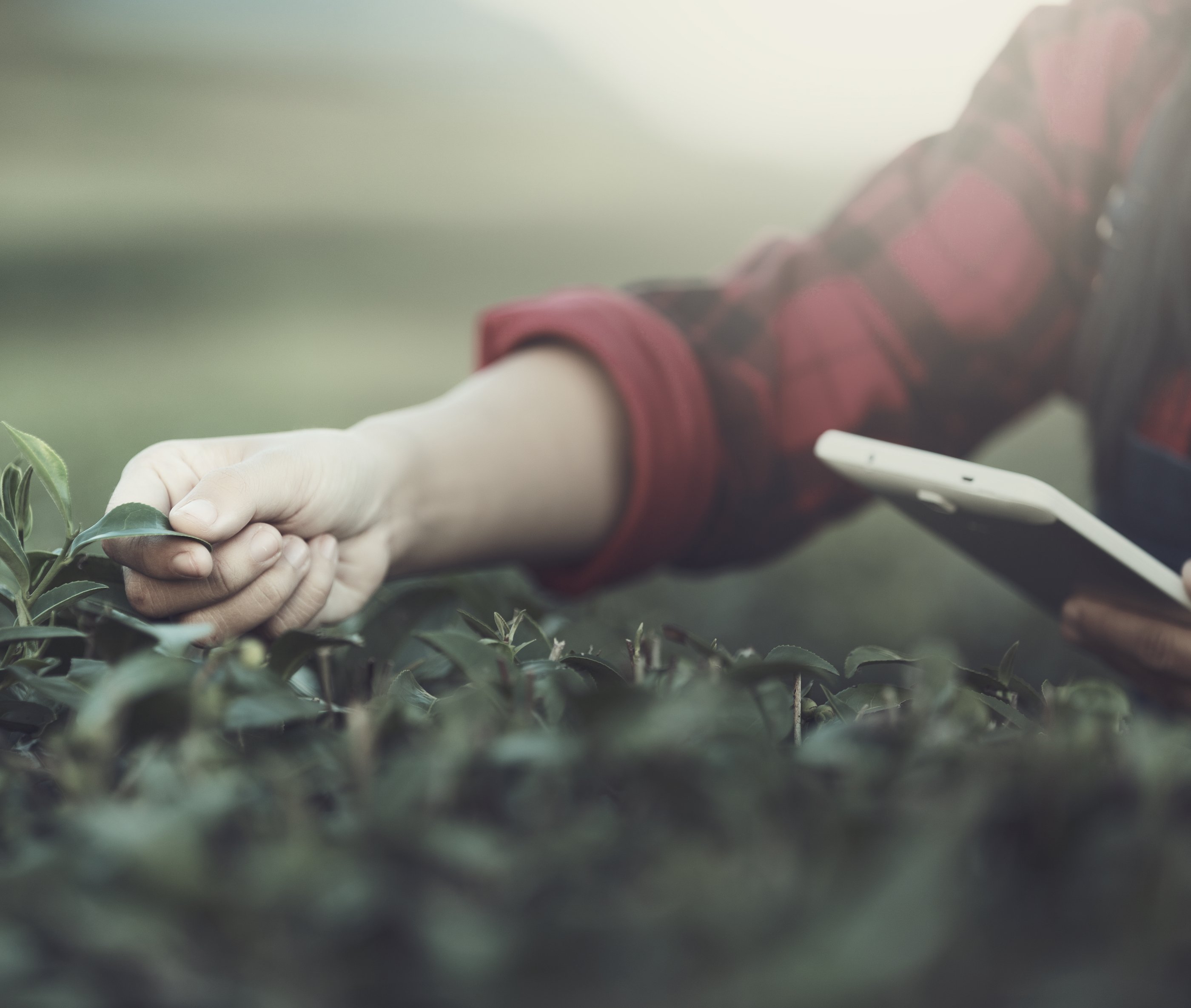 DevIQ · Building Software. Improving Life.